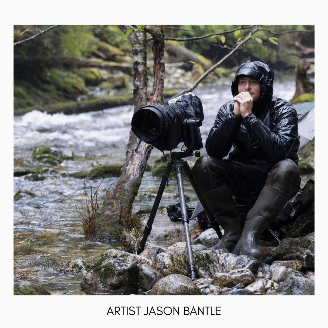 ALL IN THE WILD PHOTOGRAPHY – Art Market Craft Sale