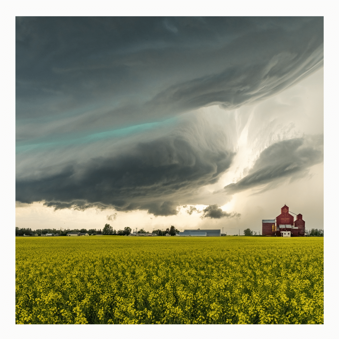PRAIRIE FIRE PHOTOGRAPHY – Art Market Craft Sale