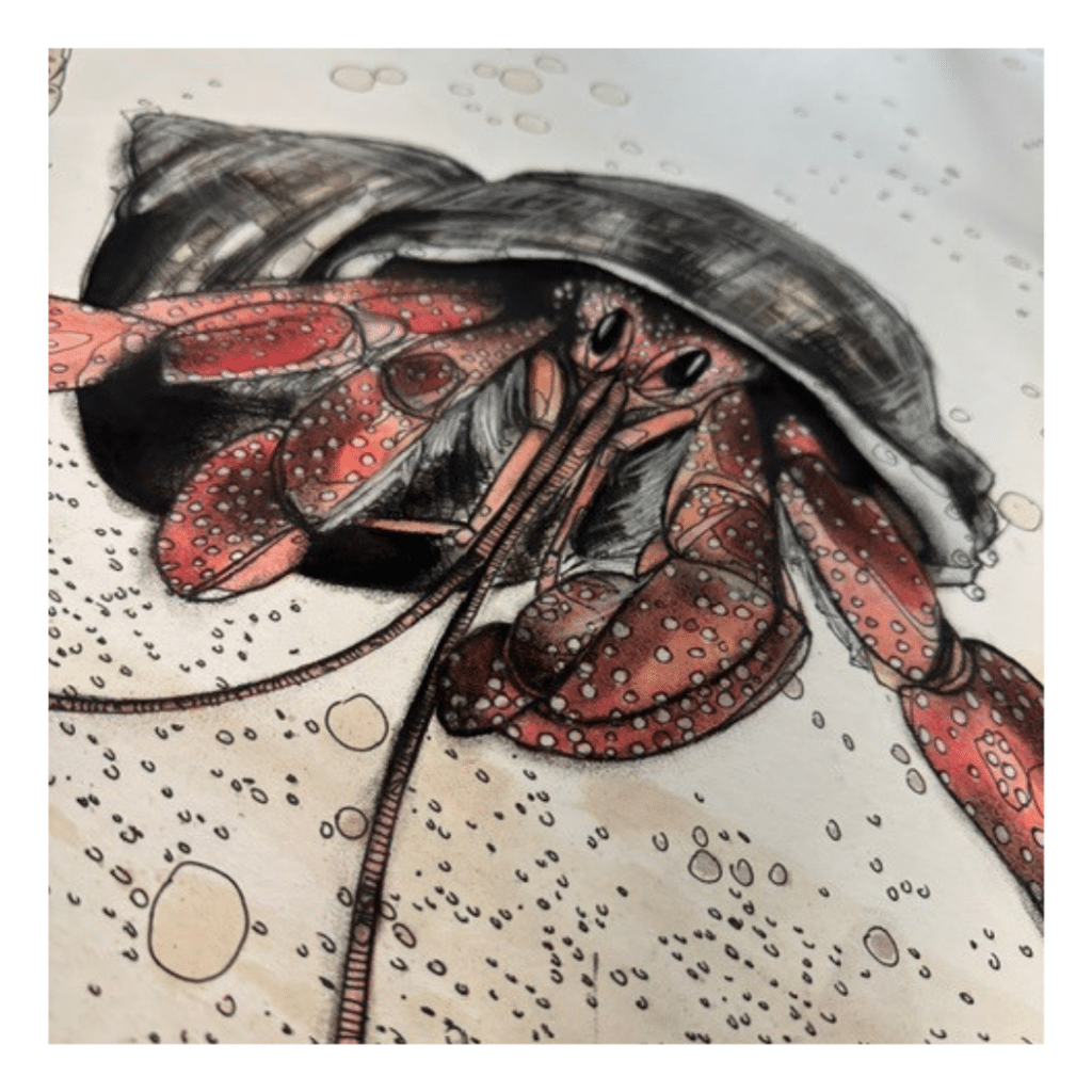 ZAWORSKI ART AND HOMESTEAD – Art Market Craft Sale